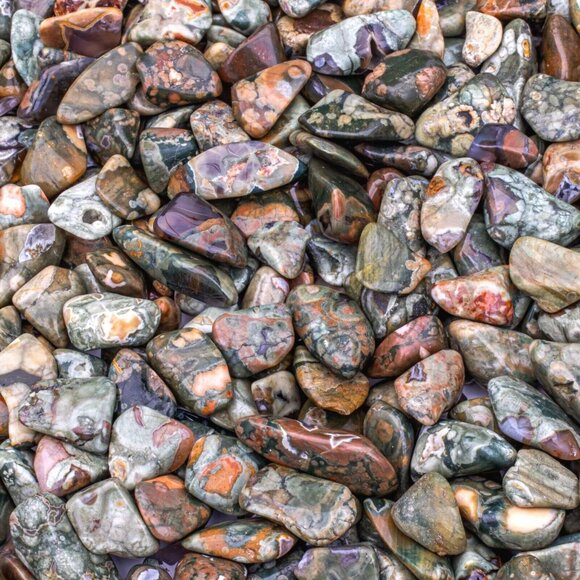 Tree Of Life Gems | Office | 4 Lb Tumbled Rainforest Rhyolite Jasper ...